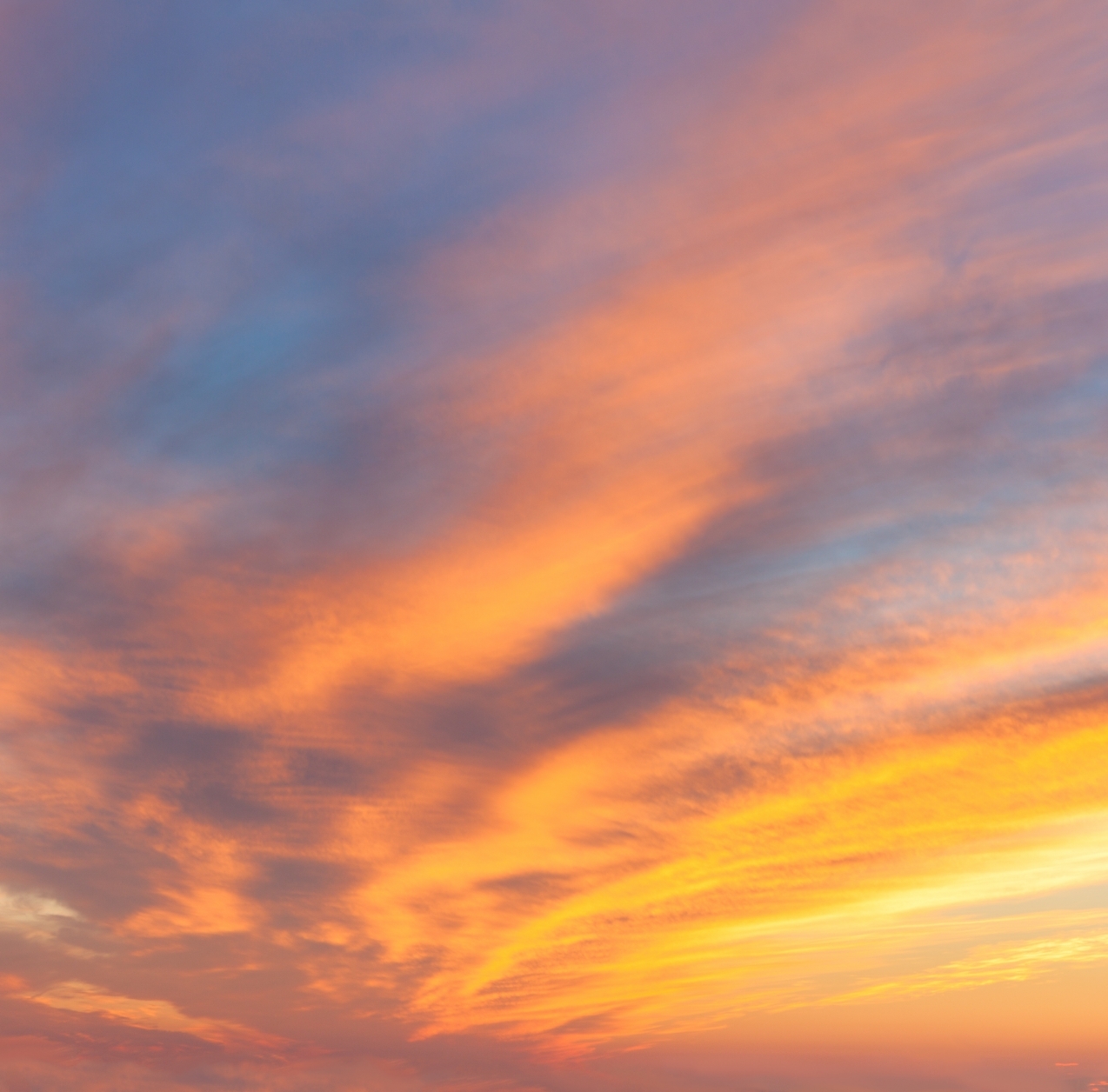 Centricus and Consello Announce Strategic Alliance - Consello